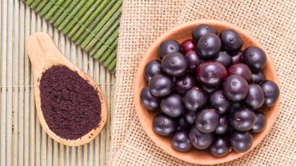 The Benefits of Bulk Acai Powder from Impact Foods - Impact Foods ...