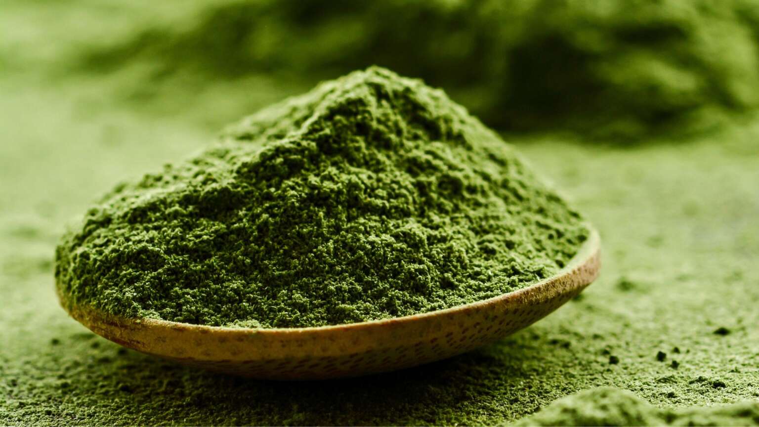 The Benefits and Uses of Buying Bulk Chlorella Powder from Impact Foods ...