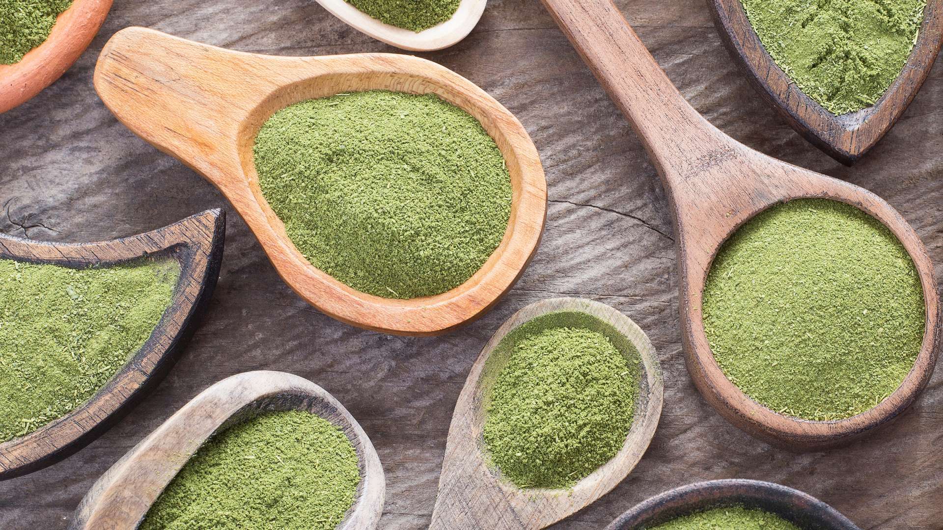 Unlocking the Potential of Moringa Powder: A Comprehensive Guide ...