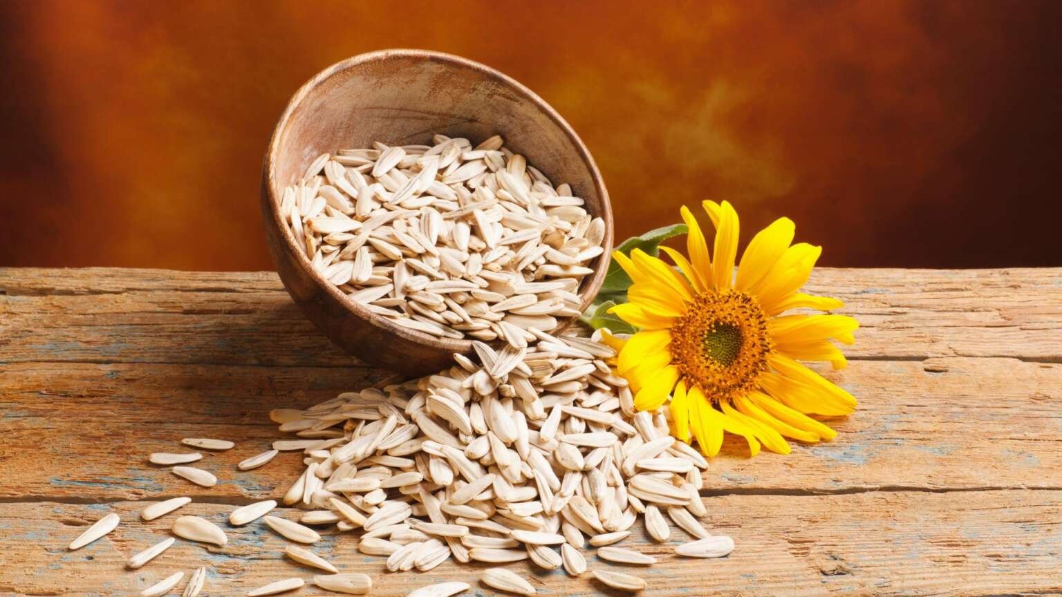 The Benefits of Sunflower Seeds: Why They’re a Superfood Worth Adding ...