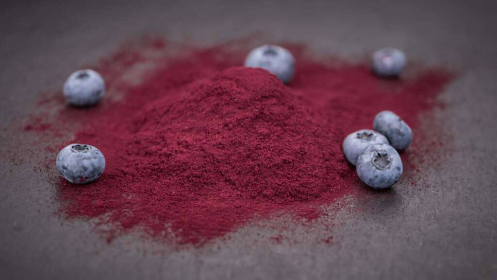 Blueberry Powder: A Versatile Superfood for European Businesses ...